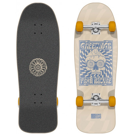 LIDO 10"x30.5" Old School Cruiser – Long Island Complete Skateboard